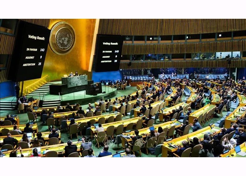 Modest budget signals a highly challenging year for the United Nations ...