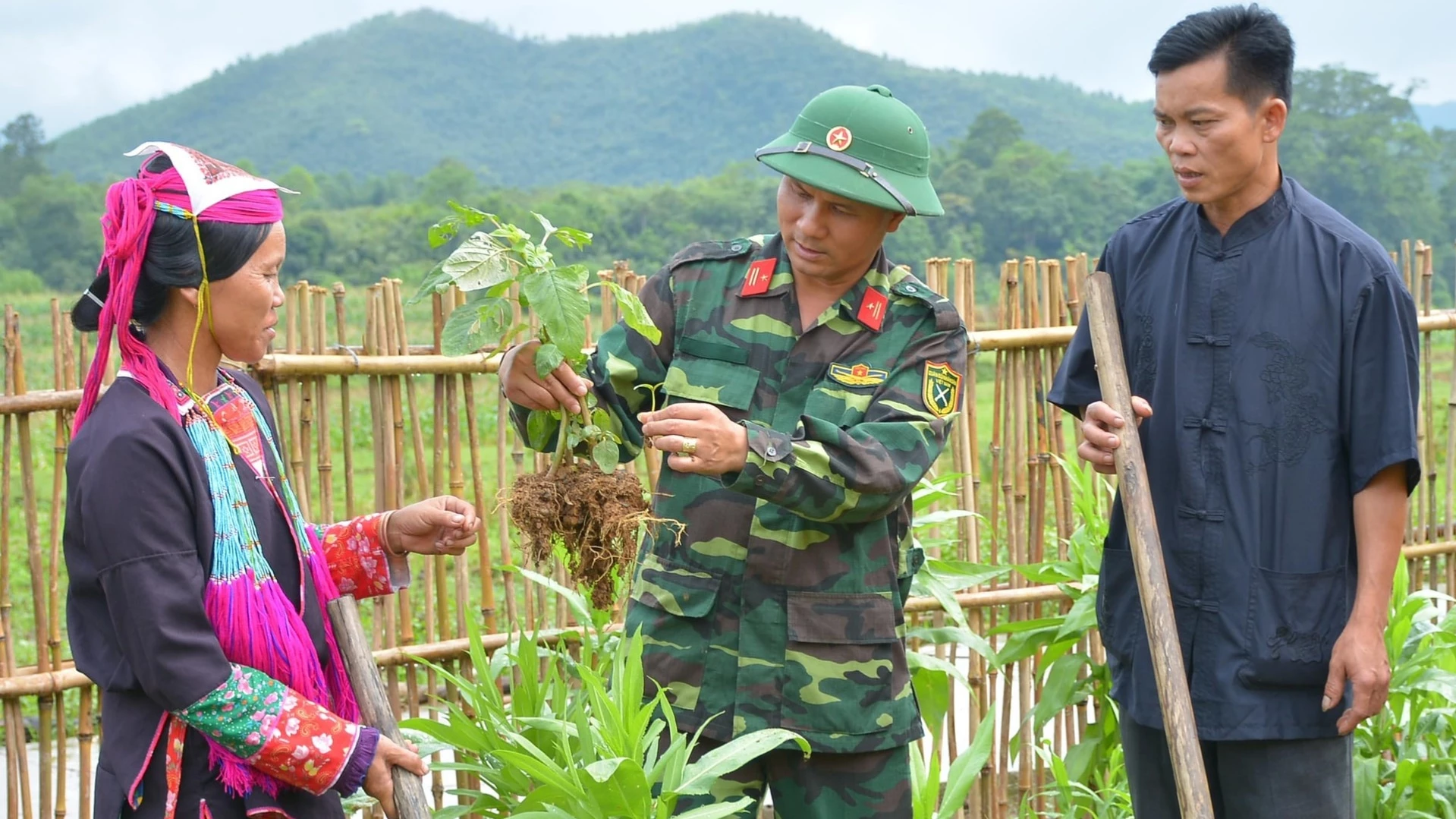 Triển khai Đề án giáo dục, tuyên truyền về Quân đội tham gia lao động ...