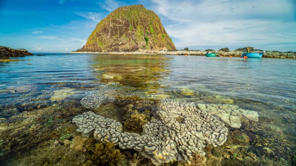 Các chặng bay nội địa và quốc tế khởi hành từ Việt Nam rẻ nhất mùa hè ...