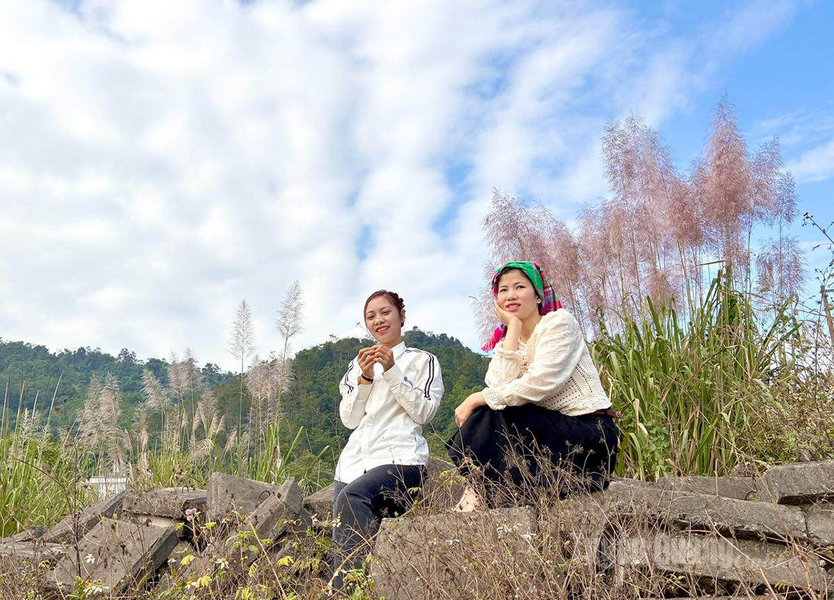 Reed flower season - Báo Tuyên Quang điện tử