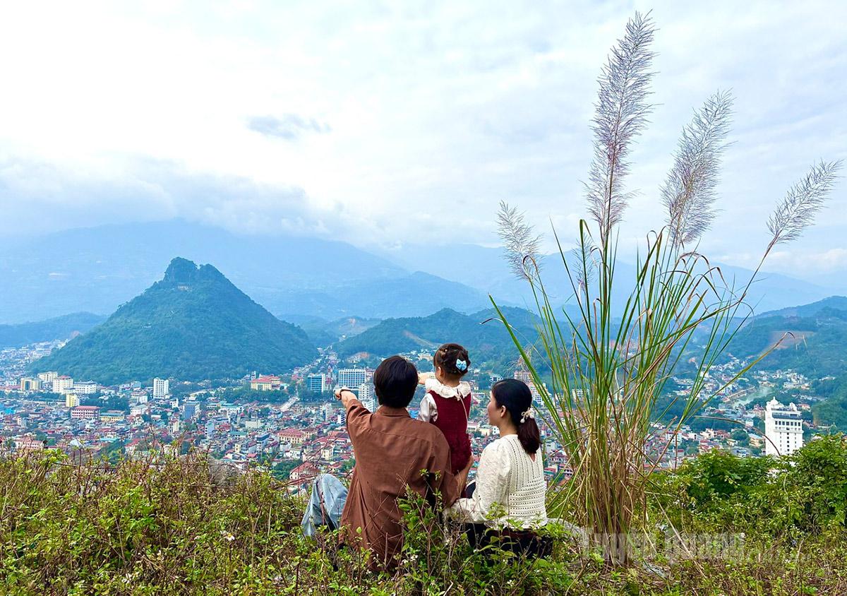 Reed flower season - Báo Tuyên Quang điện tử